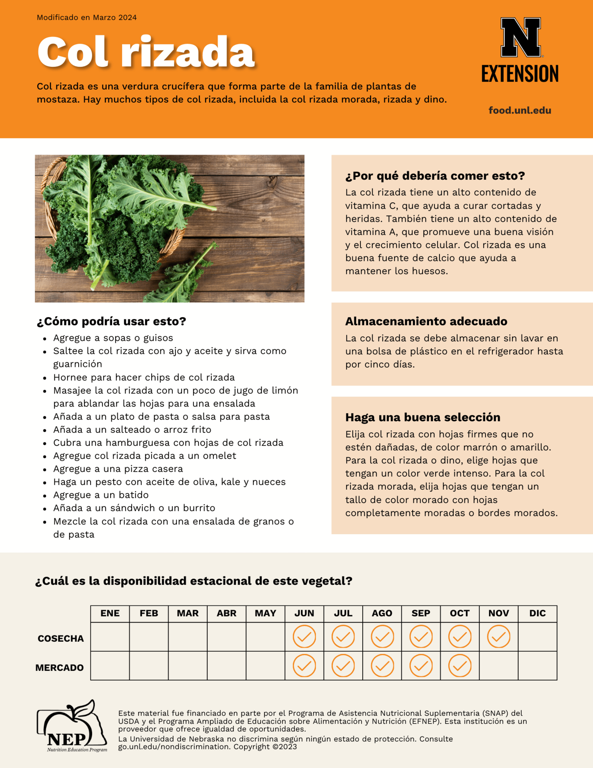 Handout - Kale - Spanish | UNL Food | Nebraska