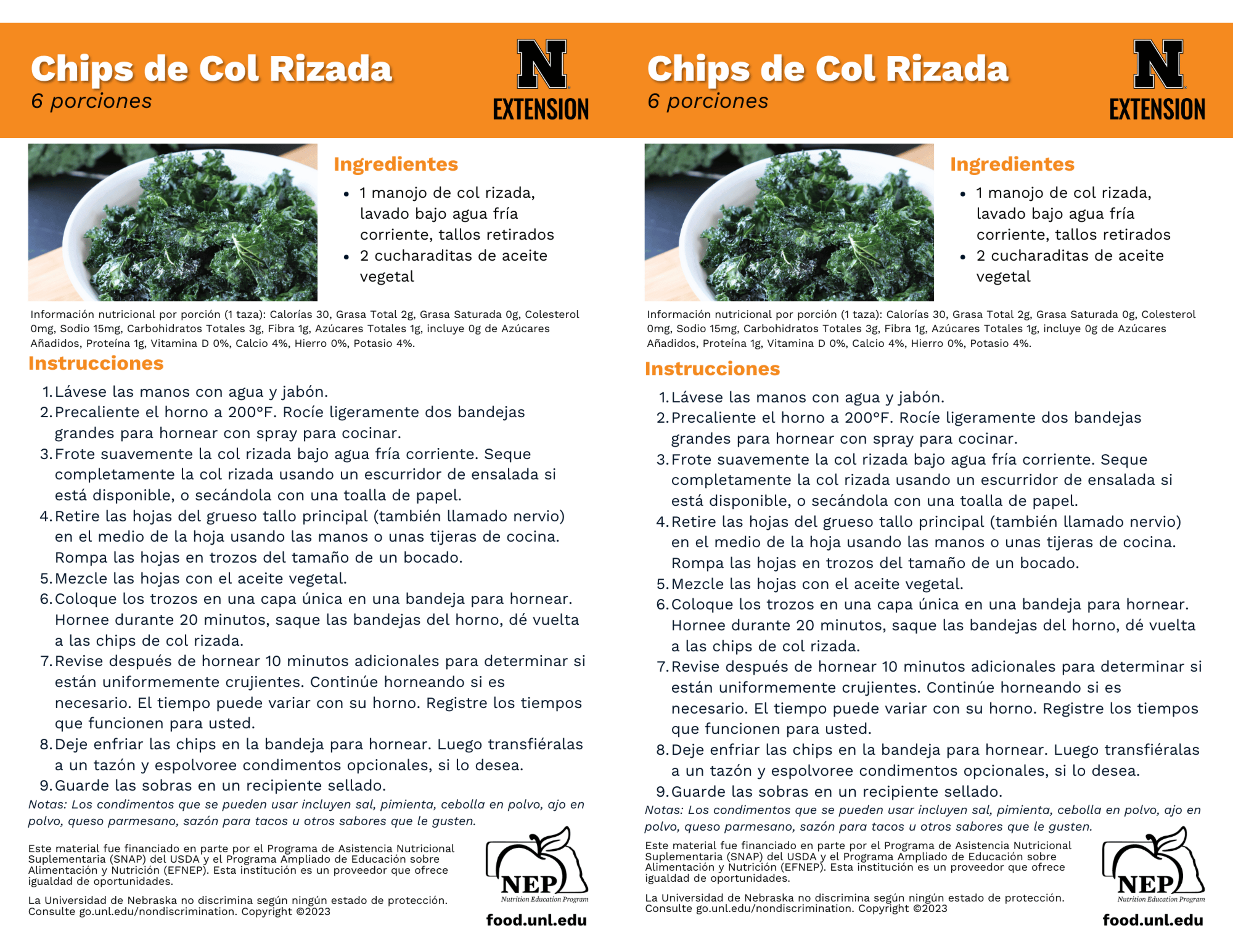 Handout - Kale - Spanish - Kale Chips Recipes | UNL Food | Nebraska
