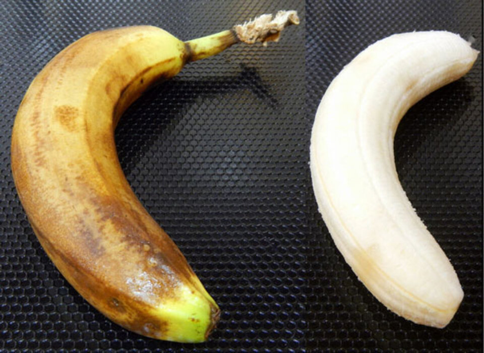 Prolonging the Life of Bananas | UNL Food | Nebraska